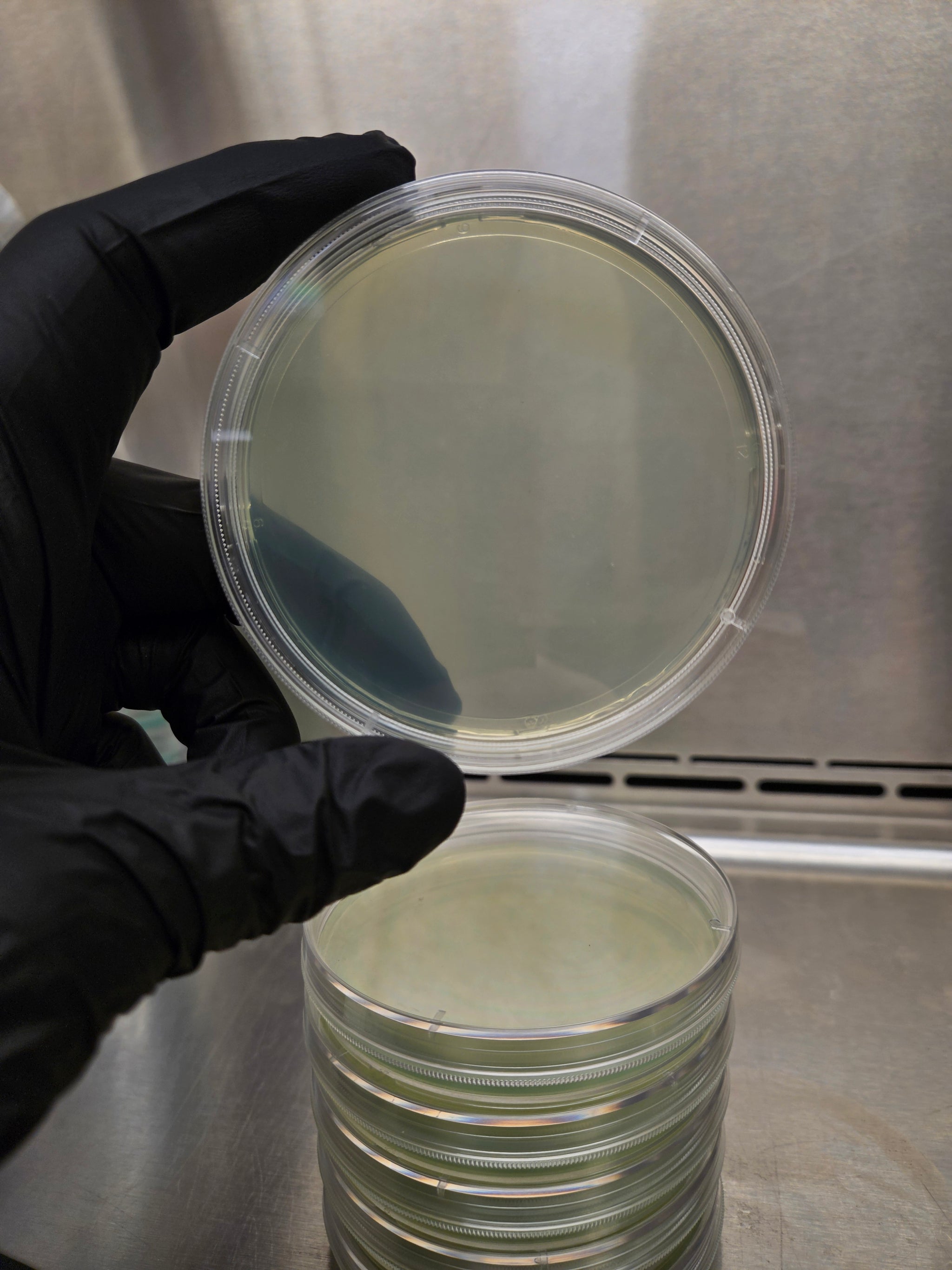 Lab Goods – Imperial Scientific