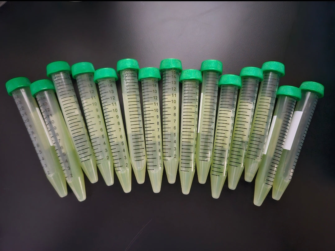 Sterile Prepoured Slant Tubes – Imperial Scientific